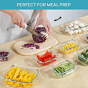Vtopmart 10 Pack Glass Food Storage Containers with Lids, Meal Prep Containers, Airtight Lunch Containers Bento Boxes with Snap Locking Lids, for Microwave, Oven, Freezer and Dishwasher