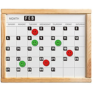 KAARP Double Sided Smiley Face Magnets for Whiteboard, Red Magnets and Green Magnets in One (1 inch) (XL003)