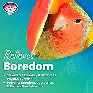 Super Bird Creations SB473 Peekaboo Perch Tent, Small Bird Size, 10” x 4” x 4.5”