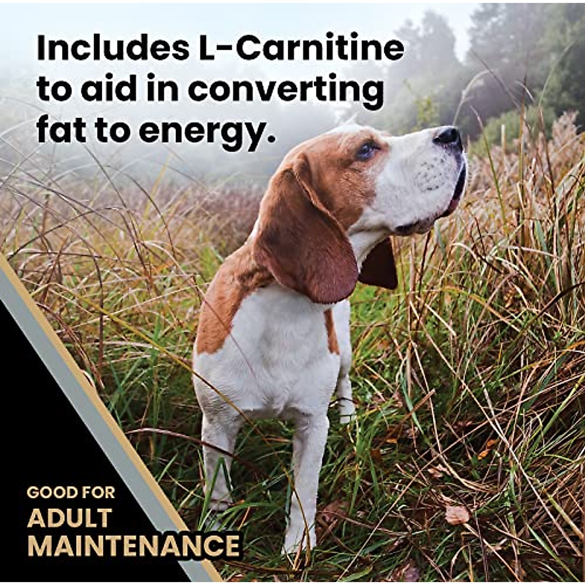 Victor Super Premium Dog Food – Purpose - Senior Healthy Weight – Gluten Free Weight Management Dry Dog Food for Senior Dogs with Glucosamine and Chondroitin, for Hip and Joint Health, 15lbs