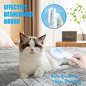 Grooming Brush Kit - 5pcs for Shedding & Matted Fur, Self-Cleaning with Flea Comb for Indoor Long-Haired Cats, Blue