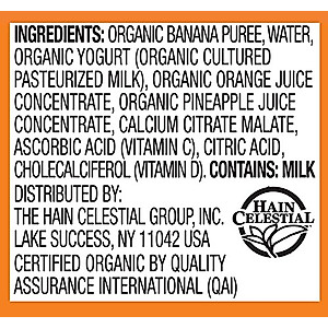 Earth's Best Organic Sesame Street Toddler Fruit Yogurt Smoothie, Pineapple, Orange and Banana, 4.2 oz. Pouch (Pack of 12)