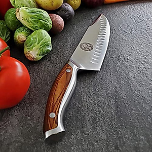 Ergo Chef Guy Fieri Knuckle Sandwich 8-Inch Chef's Knife 8081 Premium 7CR17MoV Stainless Steel Blade Hollow Ground blade Custom Style Tip, Ergonomic Pakkawood Handle
