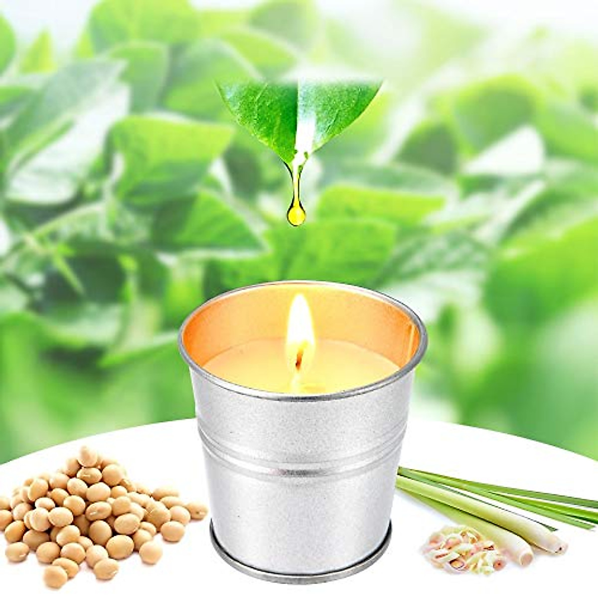 Hausware Citronella Candles Outdoor Indoor - 2.5 oz Scented Candles Set 12 Pack Natural Soy Wax citronella Candles for Garden Patio Yard Home Balcony Camping Backyard