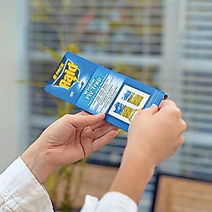 Raid Window Fly Traps, 4 Traps