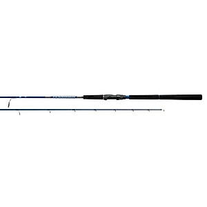 Daiwa HRJ64MLS Rod-Harrier Jigging Series Sections= 1 Line Wt.= 30-40 Braid 6'4" Fishing Rod