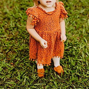 Niyage Toddler Girls Elegant Lace Pom Pom Flutter Sleeve Party Princess Dress Brick Red 100