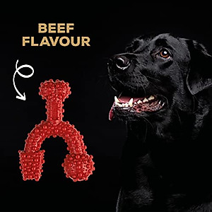 Tasty Bone Trio Bone - Beef