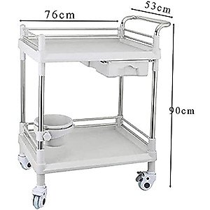 2-Layer Stainless Steel Medical cart, Beauty cart, Musical Instrument cart with Drawers and rotatable Dirt Bucket (Size : Small)