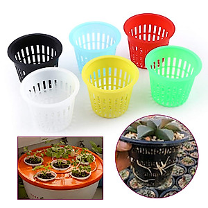 10Pack Net Pots 2.5 Inch Garden Plastic Slotted Mesh Net Cups Orchids Pots Mesh Baskets Hydroponics Supplies Cups Heavy Duty Plant Nursery Basket Planting Basket Cup with Wide Lip Design(Black)