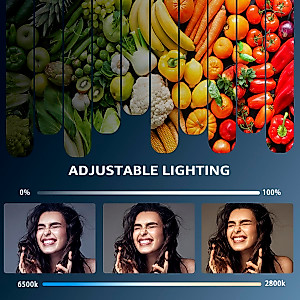 1-Pack LED Video Light Kit, NiceVeedi Photography Lighting Kit, 2800-6500K Dimmable Studio Light with Tripod Stand & Phone Holder, 73" Stream Light for Video Recording, Game Streaming, YouTube…