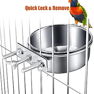 Food Grade Bird Feeder Bowl Cage Feeder, Quick Lock Cage Hanging Bowls for Small Animals and Birds-2 Packs