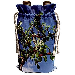3dRose Susans Zoo Crew Bonsai - Bonsai portulacaria afra tree 1 - Wine Bag (wbg_182076_1)