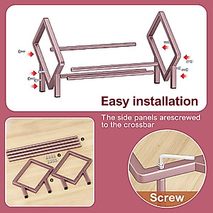 Stainless Steel Desk Bookshelf, Desktop Shelf for Book Lovers and Record Keepers ,Vinyl Record Holder for Magazine/CDs/Book Display,Tabletop Bookcase Book Organizer in Living Room/Office/Bedroom