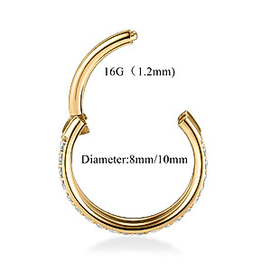 Yrogcu 20G Gold 12mm Hinged Nose Ring Hoop Double Row Diamonds Septum Piercing Jewelry Cartilage Earrings Stainless Steel Helix Earring Hoop Daith Lip Eyebow Belly Ring with Shiny Clear CZ