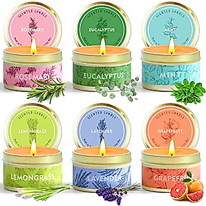 LA BELLEFÉE Scented Candles for Home Scented, Candles Gifts for Women Mom, Soy Wax Essential Oil Candles, Valentines Decoration Gifts Lemongrass, Rosemary, Grapefruit, Eucalyptus, Lavender, Mint