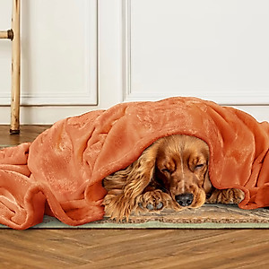 PAVILIA Orange Fleece Throw Blanket for Couch, Coral Peach Soft Fuzzy Fall Flannel Throw for Sofa, Luxury Plush Microfiber Bed Blanket, Cozy Home Halloween Velvet Gift Blanket, 50x60