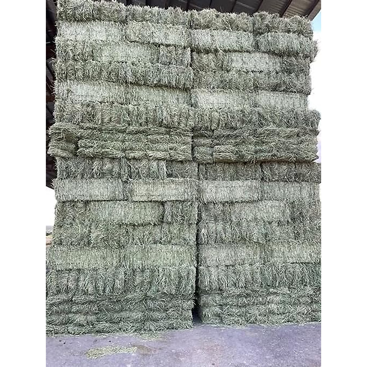 Bulk Fresh Alfalfa Hay 80oz by Bunny Honey - USDA Organic Hay for Small Select Pets, Guinea Pigs, Rabbits, Hamsters - Best Cut & Delivered Fresh - Promotes Healthy Digestive Function - 5 Pound