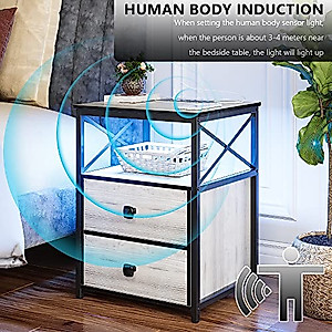 Lvifur LED Nightstand with Charging Station for Bedroom Furniture,3 Color Dimmable Auto Sensor Classical Bedside End Side Table Side Bed Table with 2 Drawers