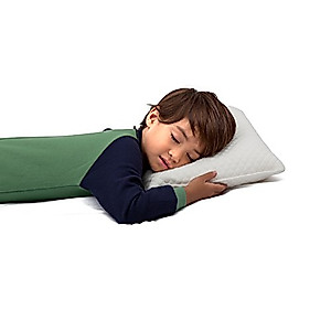 Delta Children Beautyrest Toddler Memory Foam Pillow