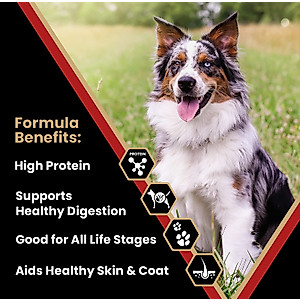 Victor Super Premium Dog Food – Purpose - Nutra Pro – Gluten Free, High Protein Low Carb Dry Dog Food for Active Dogs of All Ages – Ideal for Sporting Dogs, Pregnant or Nursing Dogs & Puppies, 5lbs