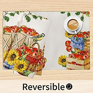 Dolcal Reversible Placemats Set of 4 Washable, Kitchen Table Mats Cloth Heat Resistant Place Mats Cotton Table Placemats Farmhouse,Fruit Red Apple