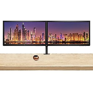 HP V24 24 inch TN Full HD 1920 x 1080 LED Backlit LCD Monitor 2-Pack Bundle with HDMI & VGA Ports, FreeSync, 75Hz Refresh Rate, Low Blue Light, Desk Mount Clamp Dual Monitor Stand, & Mini Speaker