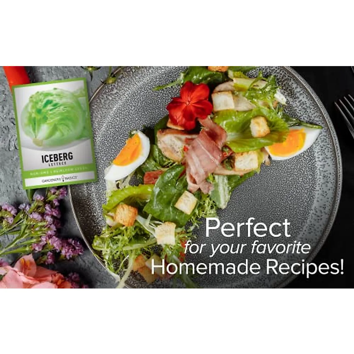 Iceberg Lettuce Seeds for Planting - (Head) Heirloom, Non-GMO Vegetable Variety- 2 Grams Seeds Great for Spring, Summer, Fall, Winter Garden and Hydroponics by Gardeners Basics