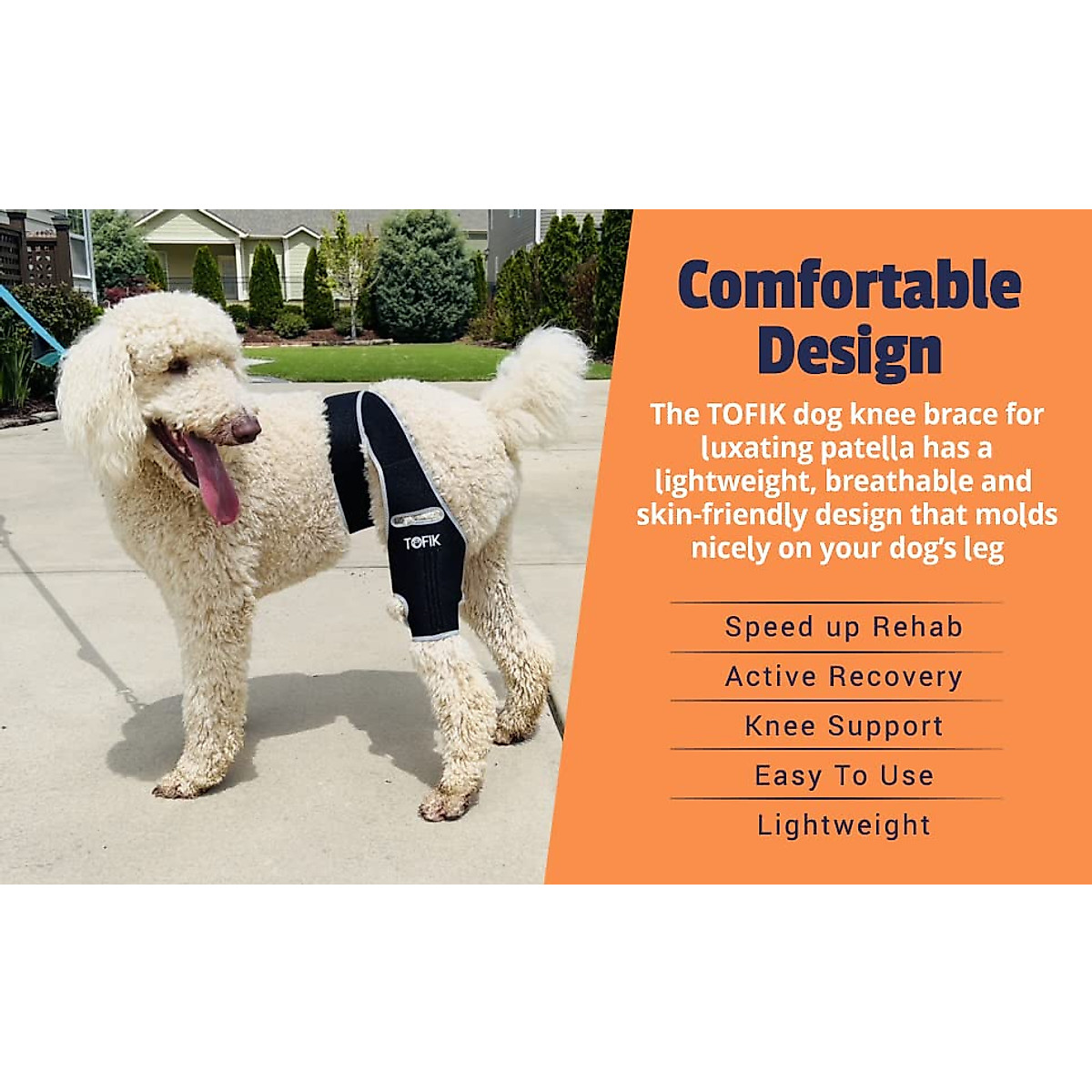 TOFIK Dog Knee Brace for Torn ACL Hind Leg – Premium Neoprene Dog Sling for Large Dogs Hind Leg Support – Washable and Reusable Dog Leg Brace with Flexible Springs (M, Silver)