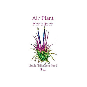 Tillandsia Air Plant Food | Fertilizer Kit with Spray Bottle and Mister | Encourages Air Plants to Bloom with Formulated Nutrients by Aquatic Arts