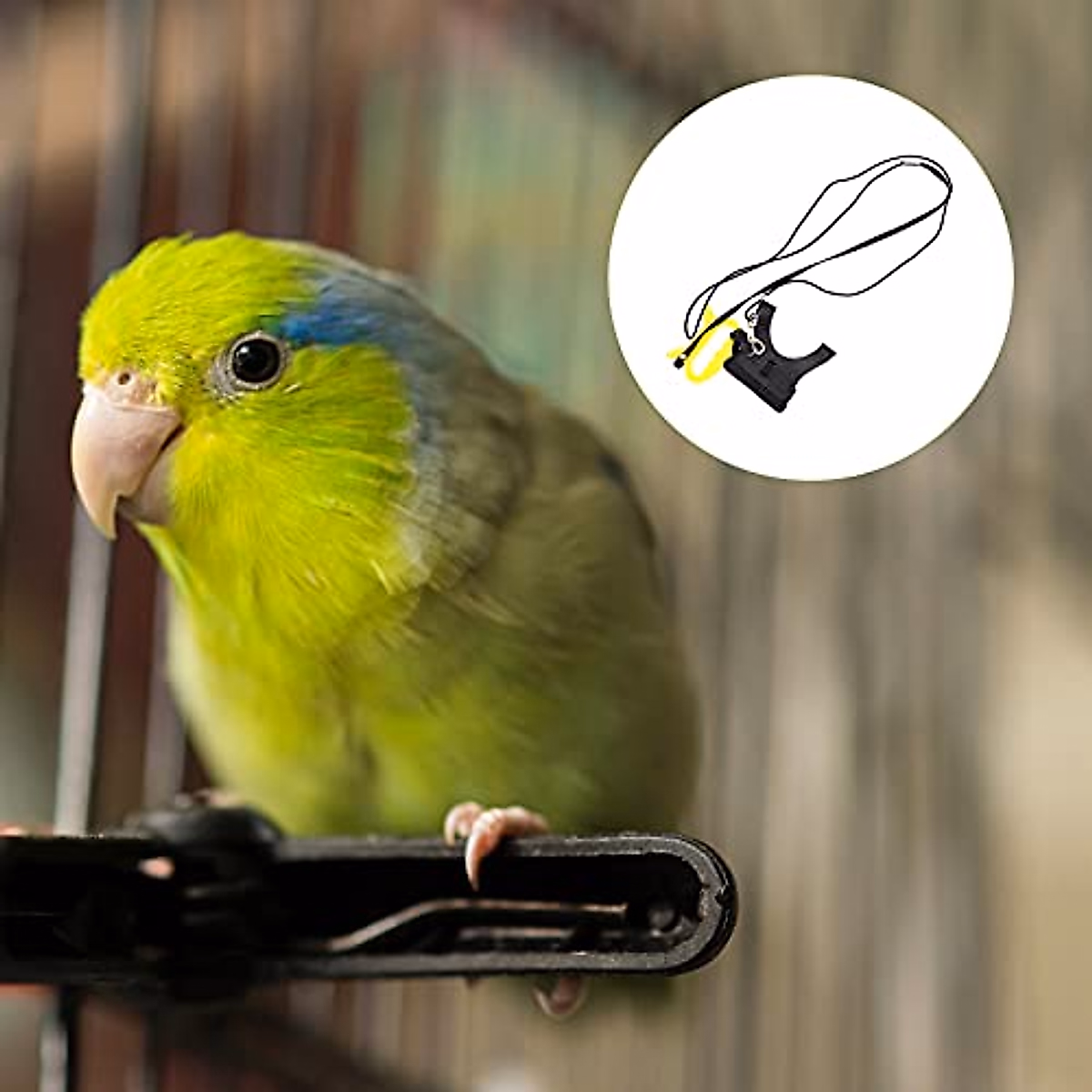 STOBOK Parrot Bird Harness Leash Adjustable Bird Flying Harness Traction Rope for Parrots Pigeons Budgerigar Lovebird Cockatiel Mynah Outdoor