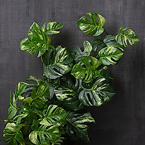 Ashland Michaels Split Hanging Philo Bush