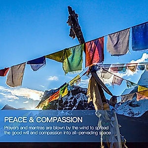 Anley Tibet Buddhist Prayer Flag – Traditional Five Elements - Horizontal Wind Horse Design (10” x 10”) - 25 flags & 23 feet