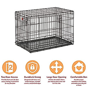 Dog Crate | MidWest Life Stages 36" Double Door Folding Metal Dog Crate | Divider Panel, Floor Protecting Feet, Leak-Proof Dog Pan | 36L x 23W x 25H Inches, Intermediate Dog Breed