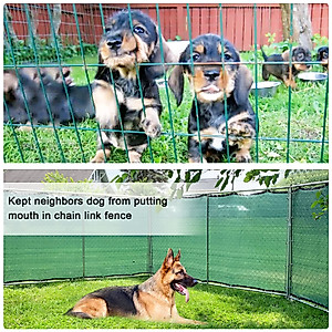 Cisvio 4ft x25ft Privacy Screen Fence Heavy Duty 170 GSM Wind Screen & dustproof Protective Covering Mesh Fencing for with Brass Grommets Outdoor Patio Lawn Garden Balcony Brown