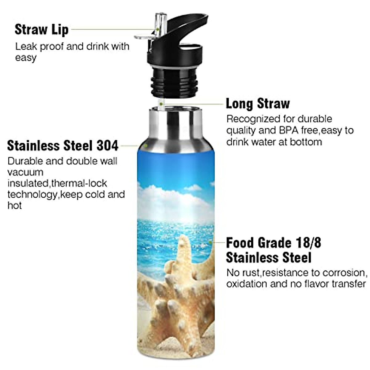 Oarencol Starfish Beach Sandy Water Bottle Ocean Sky Stainless Steel Vacuum Insulated Thermos with Straw Lid 20 Oz
