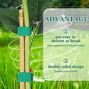 Plant Tapes 200 Feet x 1/2 Inch 6 Rolls Green Garden Tape for Climbing Plant Support Recycle Garden Ties Reusable Plastic Nylon Loop Fastening Plant Ties for Indoor Outdoor Tomato Vines Flowers Trees