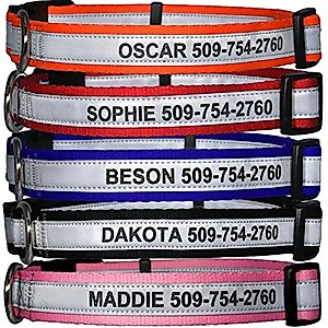 GoTags Personalized Reflective Dog Collars, Custom Engraved with Name and Phone Number, Adjustable Dog Collar with Quick Release Buckle, 3 Sizes for Puppy and Dogs, Small, Medium and Large
