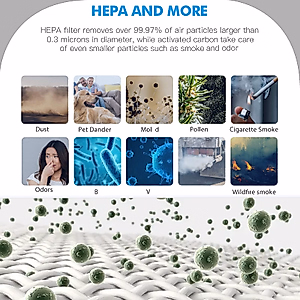 115115 Size 21 True HEPA Replacement Filter A Compatible with Winix C535, Winix PlasmaWave 5300, 6300, 5300-2, 6300-2, P300, AM90, 4 Pack True HEPA Filter Only