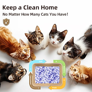 LaSyL Premium Crystal Cat Litter - 17.2 lb, Four Months Lasting - Superior Odor Control & Absorption, Non-Clumping, Low Tracking Silica Gel Safe for Pet, White & Blue (4 Bags of 4.3 lb)