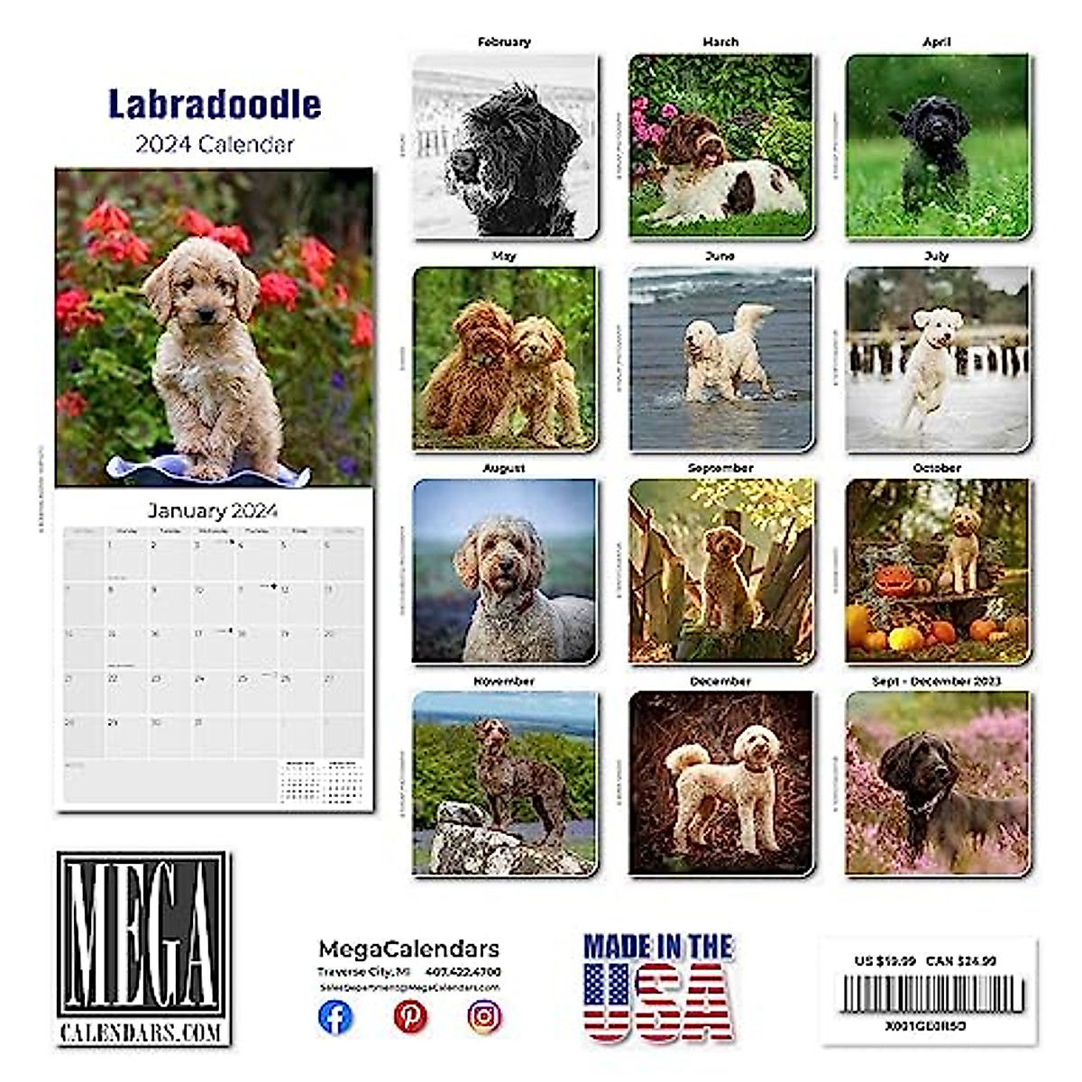 2023 2024 Labradoodle Calendar - Dog Breed Monthly Wall Calendar - 12 x 24 Open - Thick No-Bleed Paper - Giftable - Academic Teacher's Planner Calendar Organizing & Planning - Made in USA