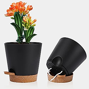 Whonline 6 Pack Self Watering Pots 8/7/6.5/ Inch Plastic Plant Pots Bottom Watering Plant Pots with Saucer Reservoir and Watering Lip for Indoor Outdoor Flowers Plants Windowsill