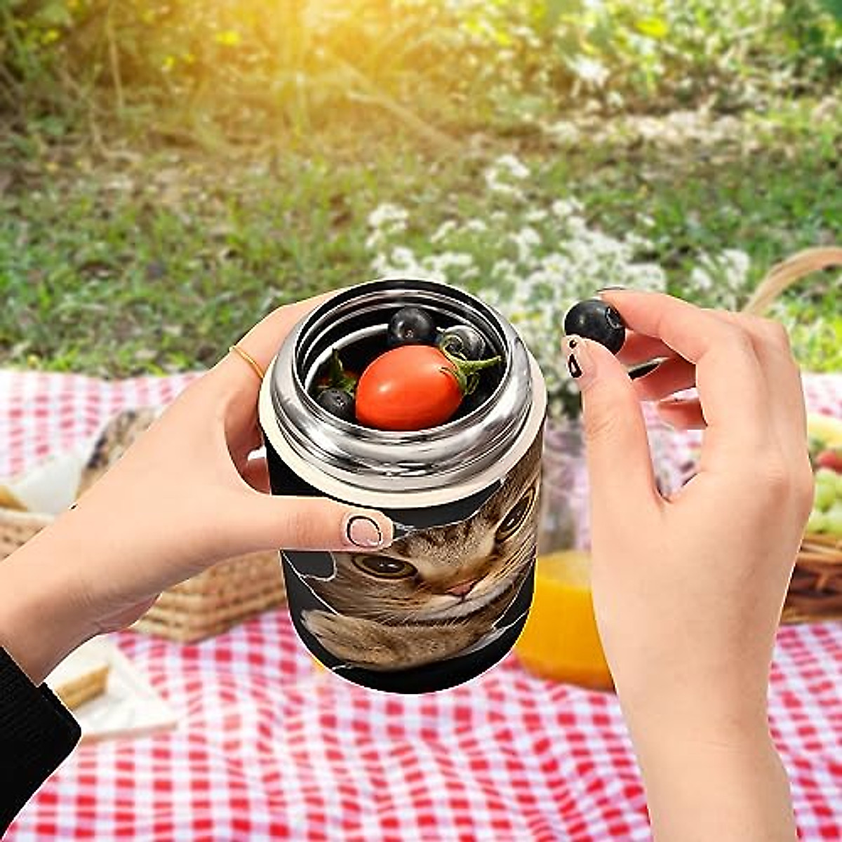CUPADA Cat Funny Food Jar, Black Paper Hole Insulated Hot Food Jars Vacuum 17OZ with Folding Spoon for Work Trip Picnic Camping