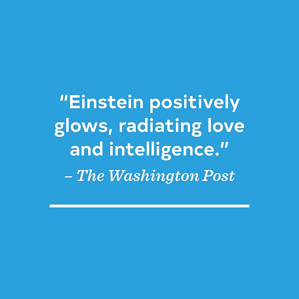 On a Beam of Light: A Story of Albert Einstein (Illustrated Biographies by Chronicle Books)