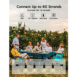 Outdoor String Lights 25 Feet G40 Globe Patio Lights with 27 Edison Glass Bulbs(2 Spare), Waterproof Connectable Hanging Light for Backyard Porch Balcony Party Decor, E12 Socket Base,Black