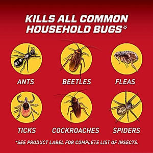 Ortho Home Defense Insect Killer for Indoor & Perimeter Refill 2, 1.33 GAL
