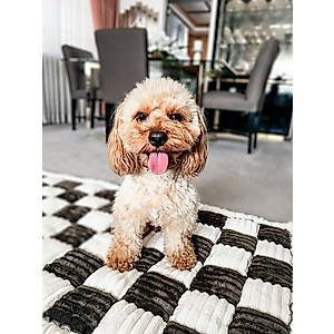 FUNNY FUZZY Couch Covers for Sofa, Pet Mat Bed Couch Cover Washable Pet Bed Cover Cream-Colored Large Plaid Square Protective Furniture Sofa Cover, 27.6"×59.1"