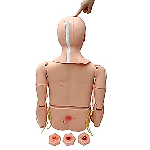 PreAsion Manikin Training 24 Wound ModulesTrauma Manikin Care Multi Functional Anatomical Human Model Advanced Training Manikin Model Demonstration Manikin for Men and Women Life-Size Nursing Model