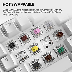 Pulsar Gaming Gears - PCMK Gaming Mechanical Keyboard ANSI Hot Swappable 60% (Barebone, White)