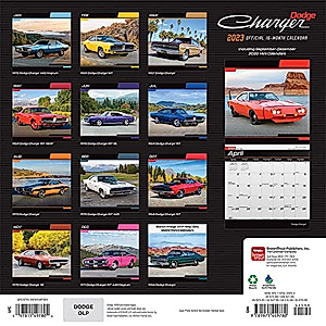 Dodge Charger OFFICIAL | 2023 12 x 24 Inch Monthly Square Wall Calendar | Foil Stamped Cover | BrownTrout | American Muscle Motor Car